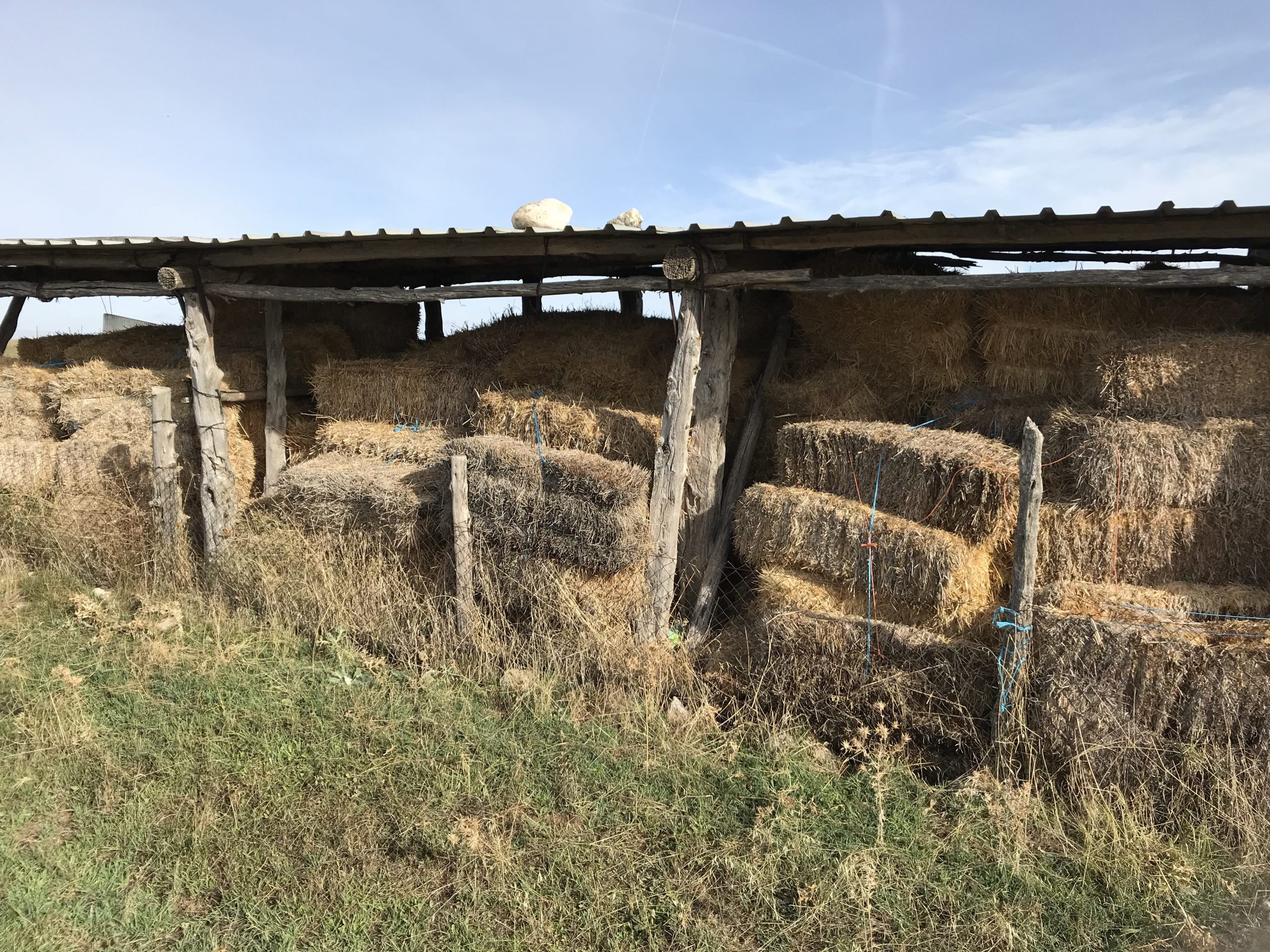 El principio del numerus clausus de los derechos reales | Almacén de ...