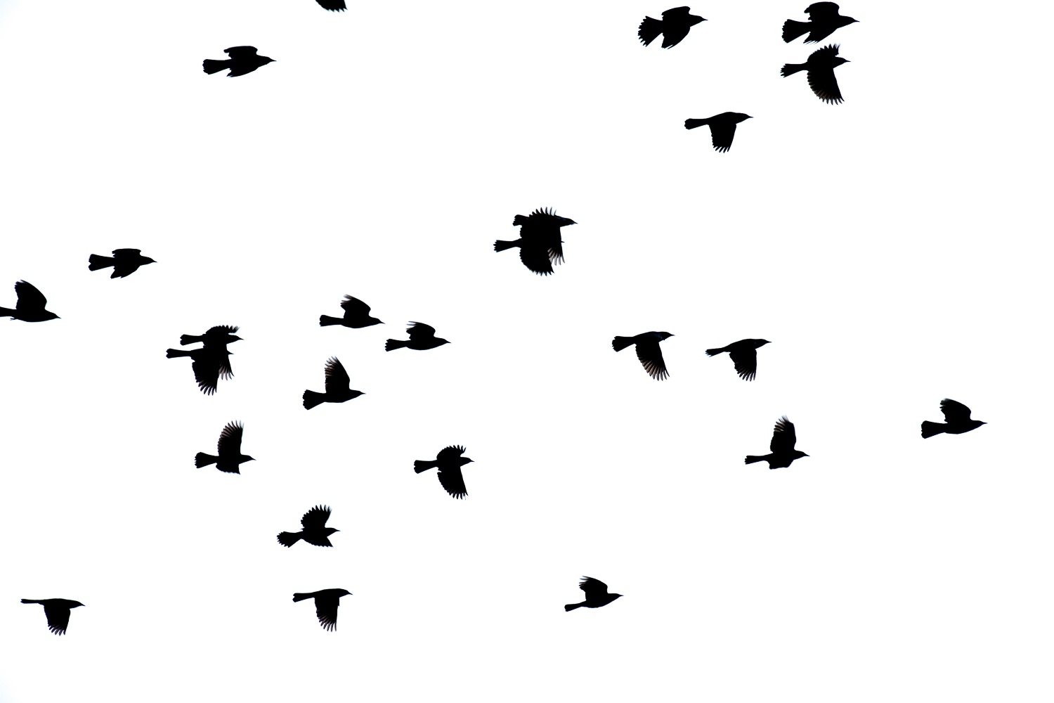 El decomiso ¿de los bienes del delito? | Almacén de Derecho