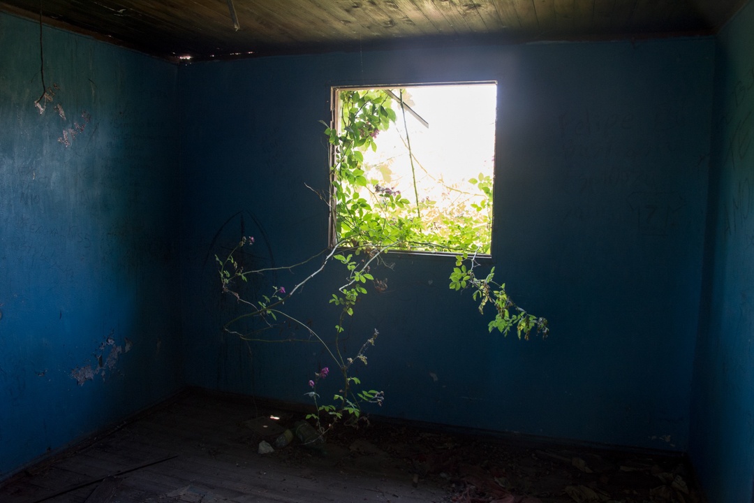 Child grooming (II) ¿Qué elementos definen el delito? | Almacén de Derecho